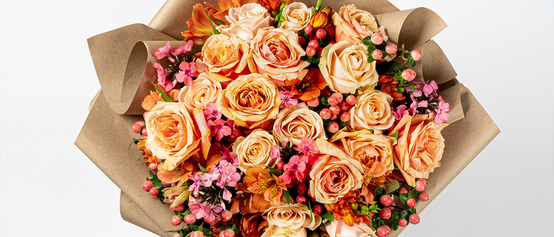 Rooster to Deliver Launch Campaign for Bloom | Lifestyle PR | Rooster